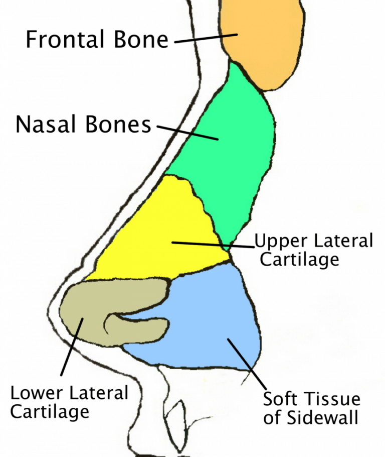 Nasal Fractures | Norelle Health
