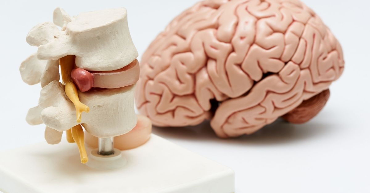 Brain and Spine | Norelle Health
