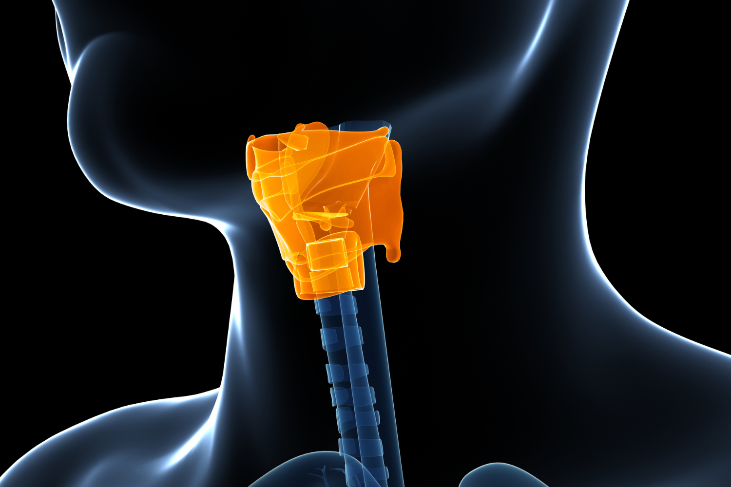 Larynx Cancer | Norelle Health